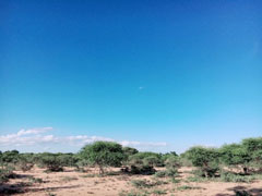 My Life in Jackalas II | Botswana | Countries & Regions | JICA