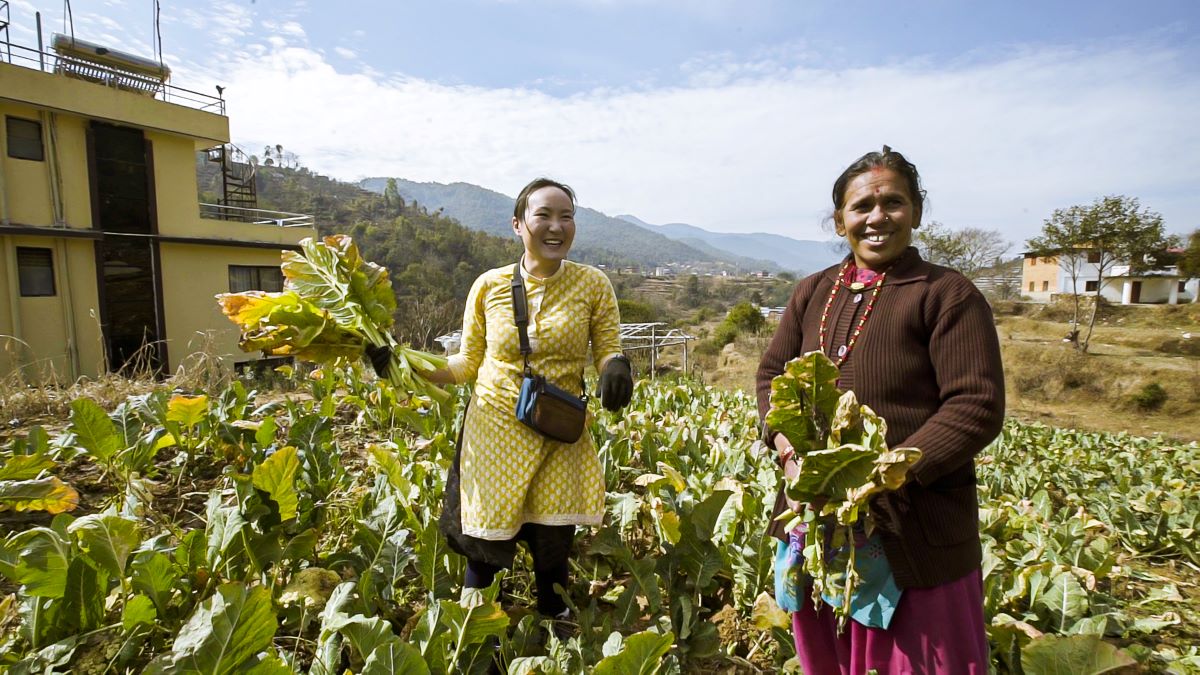 Bridging Japan and Nepal with New Kizuna ｜ News＆Publication - JICA