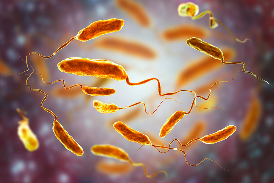 The Japanese Initiatives That Helped to Halt Zambia’s Worst Cholera ...