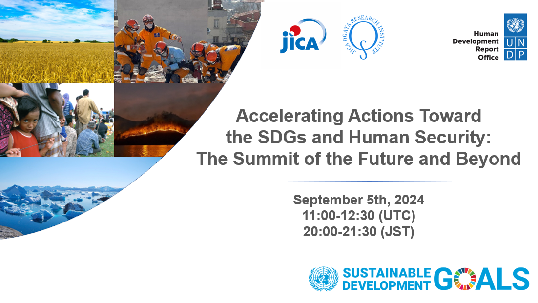 Accelerating Actions Toward the SDGs and Human Security: The Summit of the Future and Beyond ...