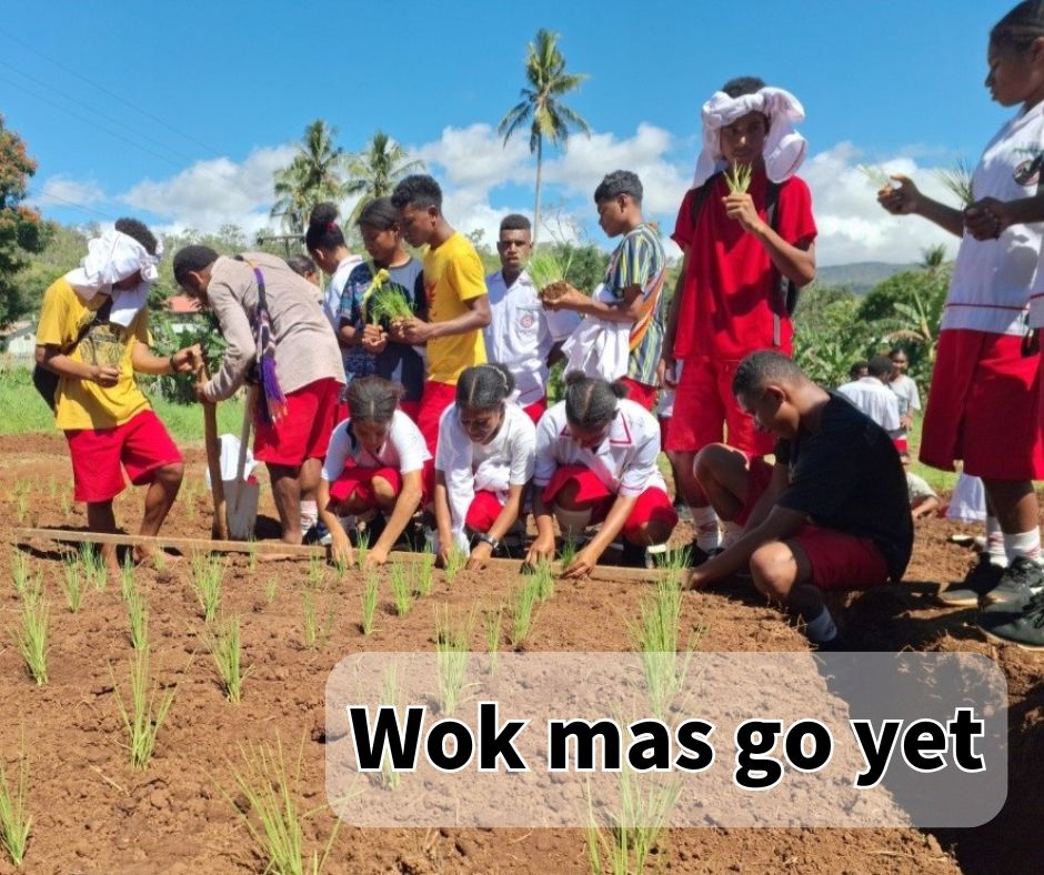 Rice Farming with NERICA Begins — Sharing Japanese Agricultural ...