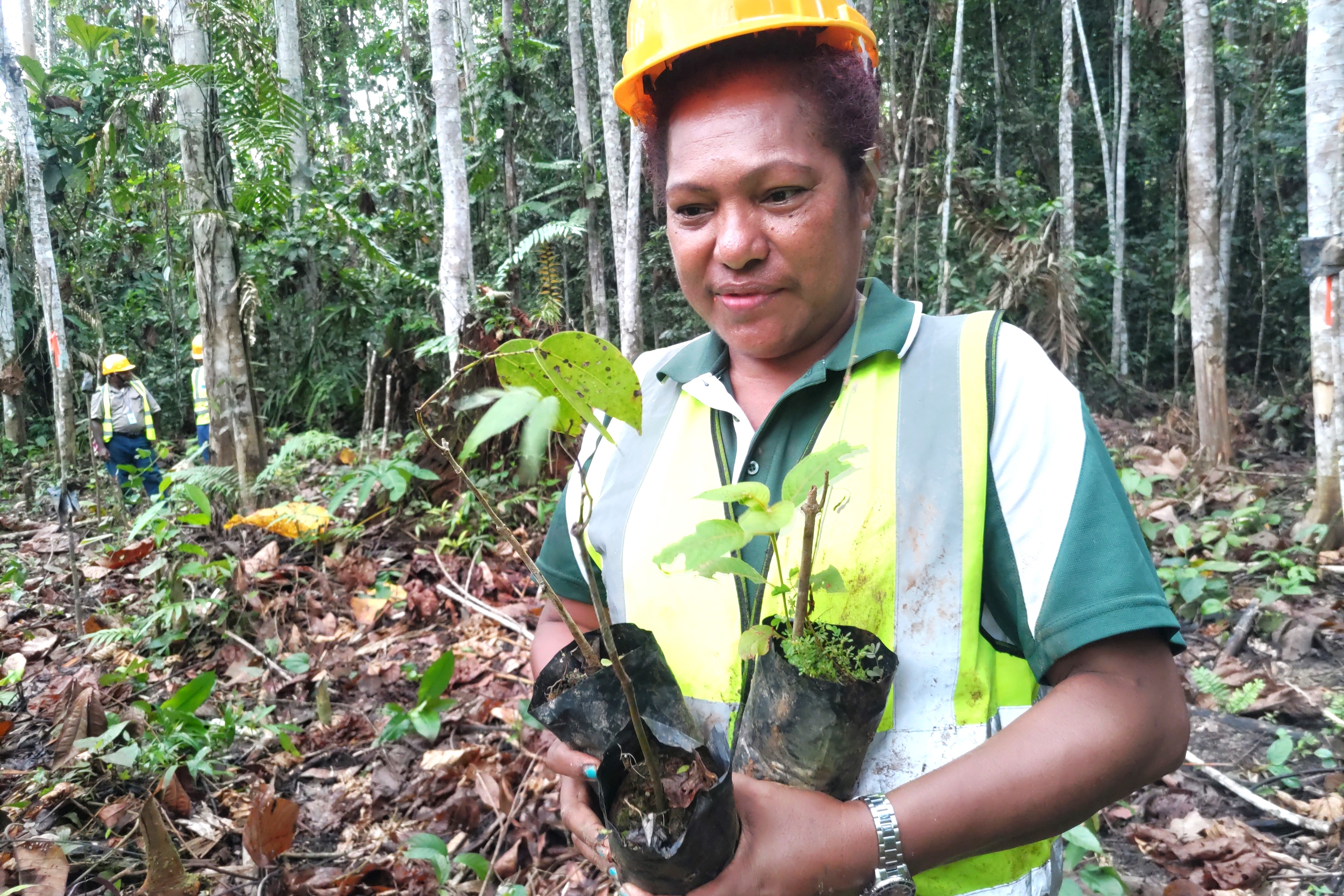 Papua New Guinea at COP30: Protecting Our Beautiful Forest ｜ Where We ...