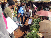 【Ethio-SHEP】市場調査と作物選定 | 市場志向型小規模園芸農業推進プロジェクト | 技術協力プロジェクト | 事業・プロジェクト ...
