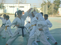 Japan Overseas Cooperation Volunteers (JOCV) | Yemen | Countries & Regions | JICA