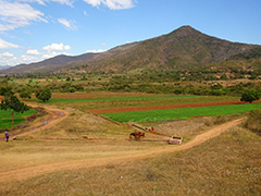 JICA Zimbabwe beneficiaries hail the Nyakomba Irrigation Project ...