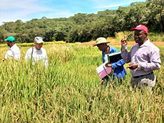 JICA Rice Expert / Technical Advisor Wows the Agricultural Fraternity ...
